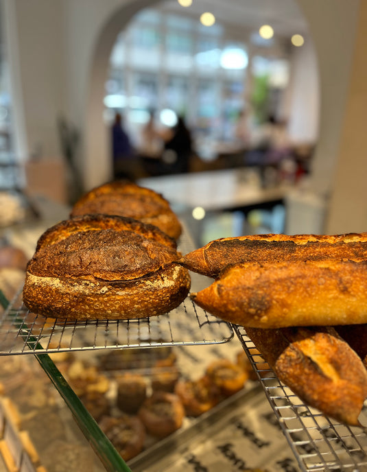 Harvest Cafe & Bakery