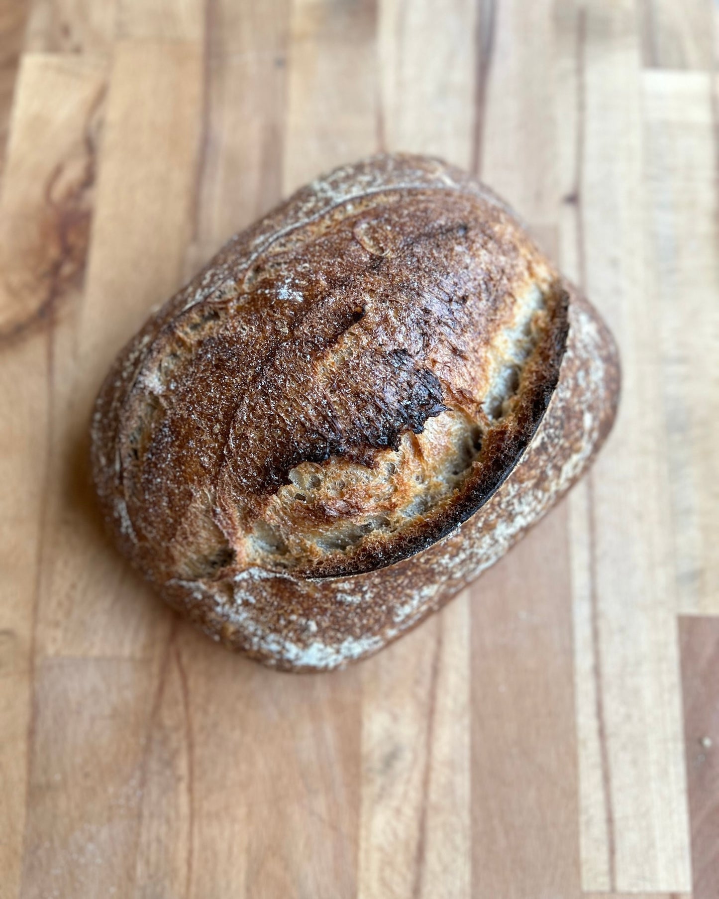 Wildfarmed Sourdough Basic - Small – Harvest Cafe & Bakery