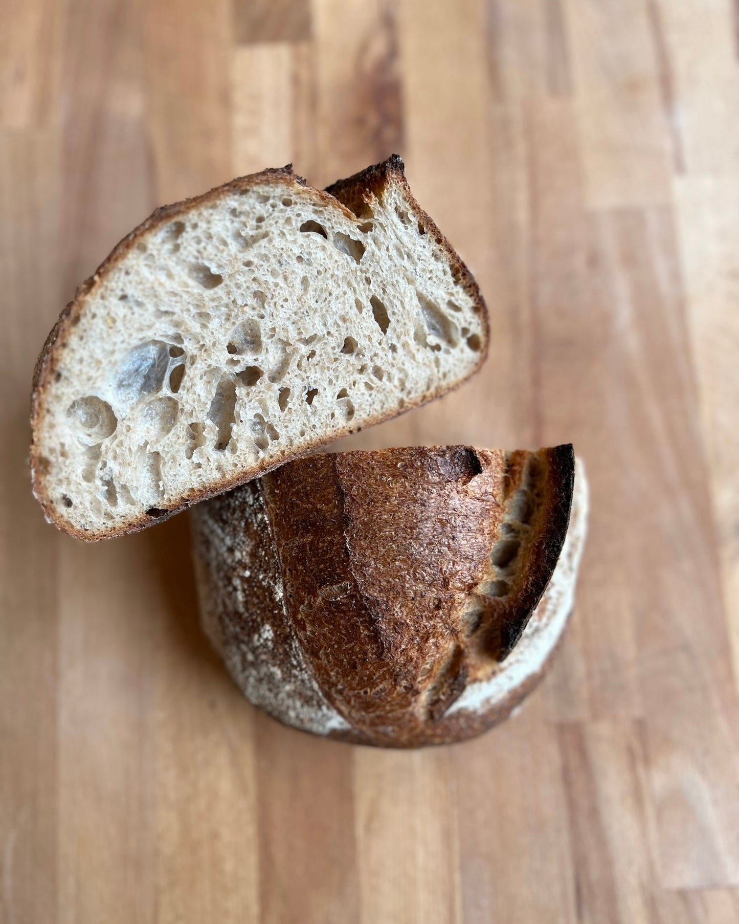Wildfarmed Sourdough Basic - Small – Harvest Cafe & Bakery